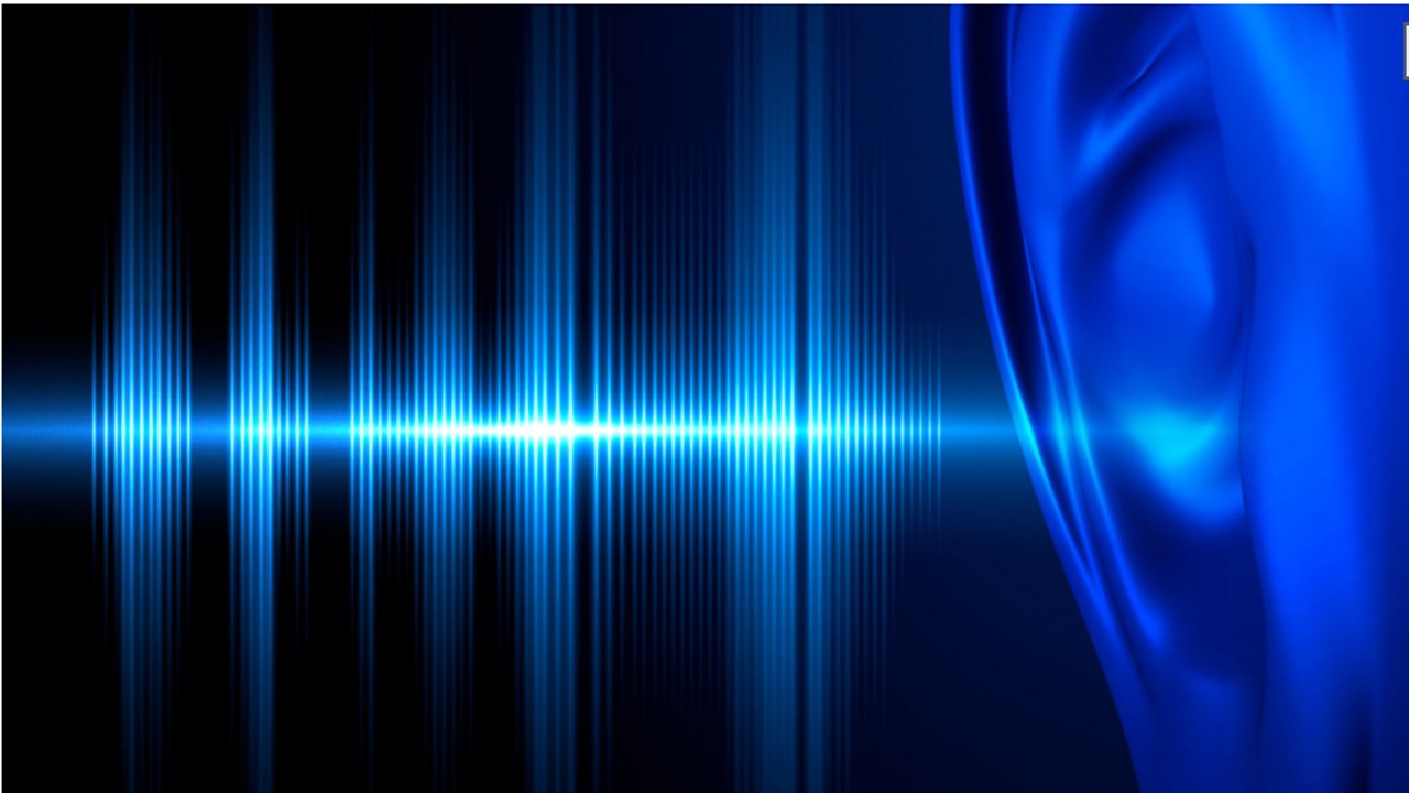 Día Internacional de la Conciencia sobre el Ruido - ECOS Chile